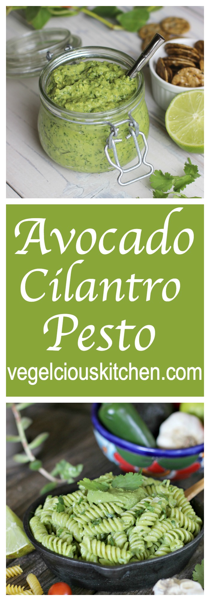 15 Minute Creamy Avocado Cilantro Pesto (Oil-Free) - Vegelicious Kitchen