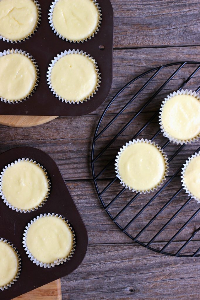 Easy Mini Cheesecake Cupcakes - Vegelicious Kitchen
